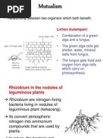 DDT Worksheet | PDF | Pesticide | Organisms