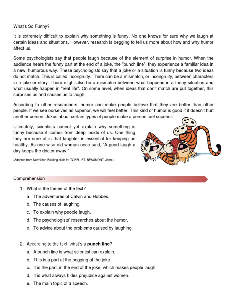 What's So Funny | PDF | Laughter | Jokes