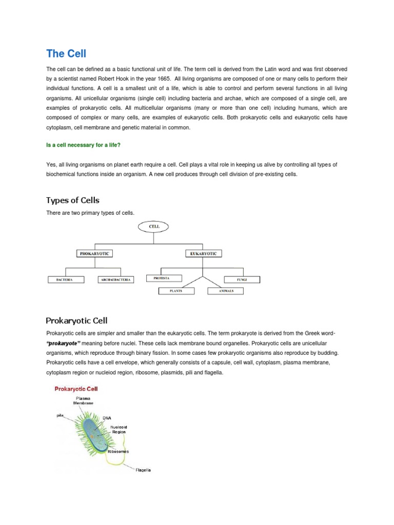 The Cell: Types of Cells | PDF | Cell (Biology) | Cell Membrane