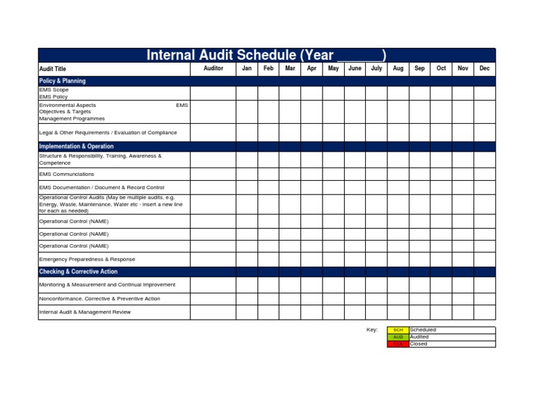 Internal Audit Schedule (Year ______): Audit Title Auditor Jan Feb Mar ...