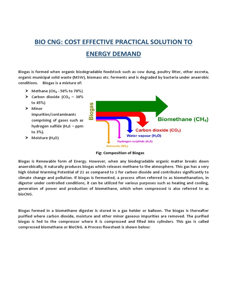 Biocng | PDF | Biogas | Anaerobic Digestion