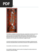 Overview of the Vina Instrument | PDF | String Instruments | Guitars