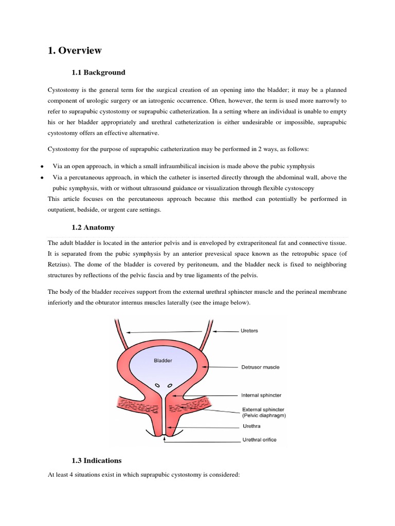 A Comprehensive Guide to Suprapubic Cystostomy: Indications, Techniques ...