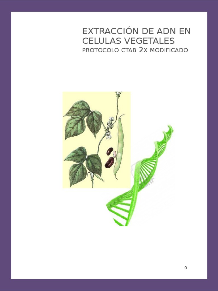 Extraccion de Adn en Celulas Vegetales | PDF | Adn | Biología Celular)