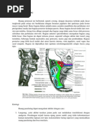 Abses Parafaring | PDF