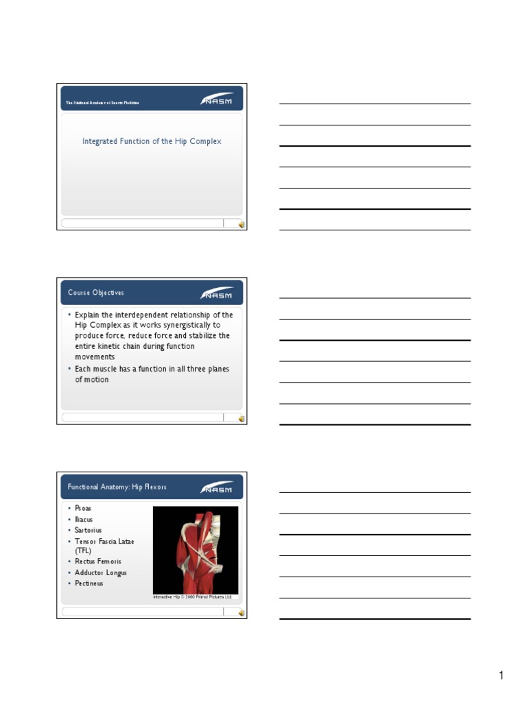Hip Complex Handout | PDF | Pelvis | Hip