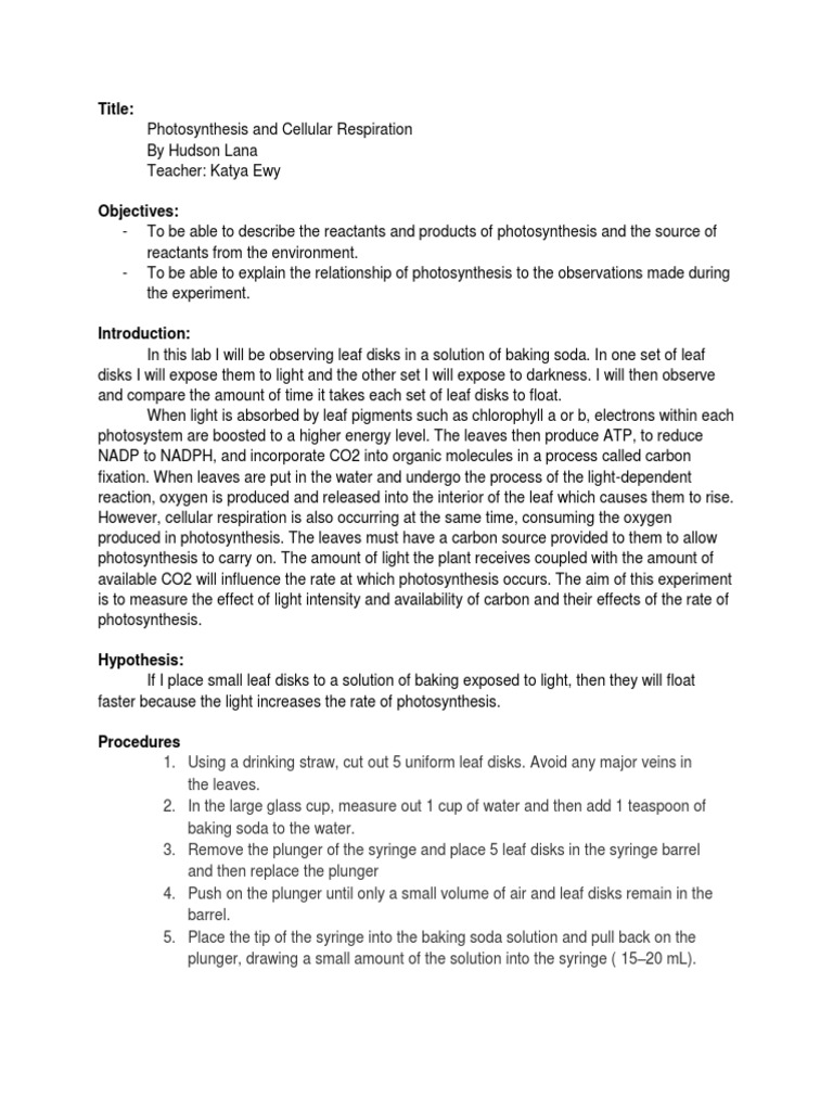 Photosynthesis Experiment With Baking Soda