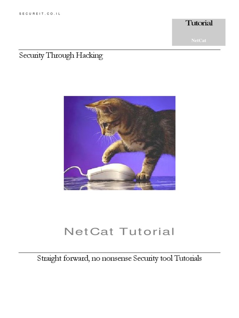 Netcat Eng | Internet Information Services | Port (Computer Networking)