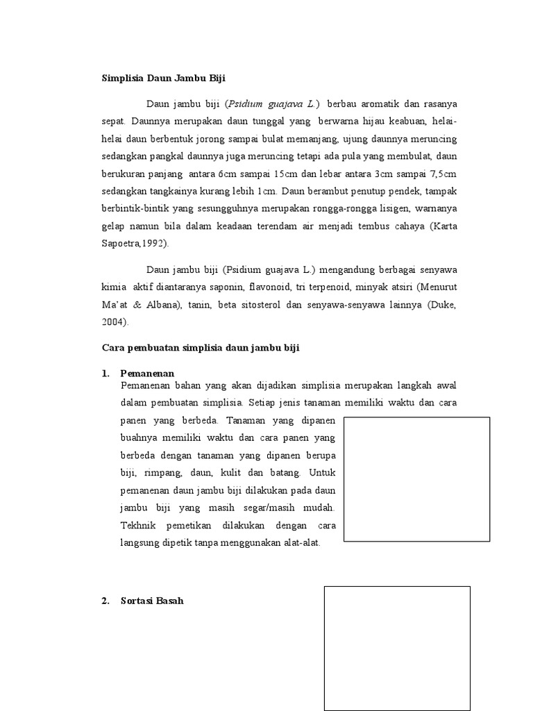 Simplisia Daun Jambu Biji | PDF