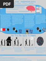 Why Do Some Brains Enjoy Fear | PDF | Brain | Fight Or Flight Response