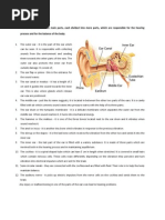 Human Ear Labeling Worksheet | PDF | Ear | Hearing