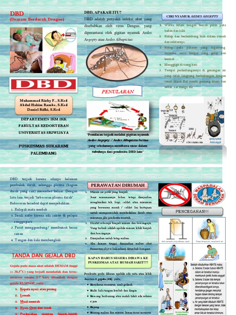Pamflet DBD | PDF