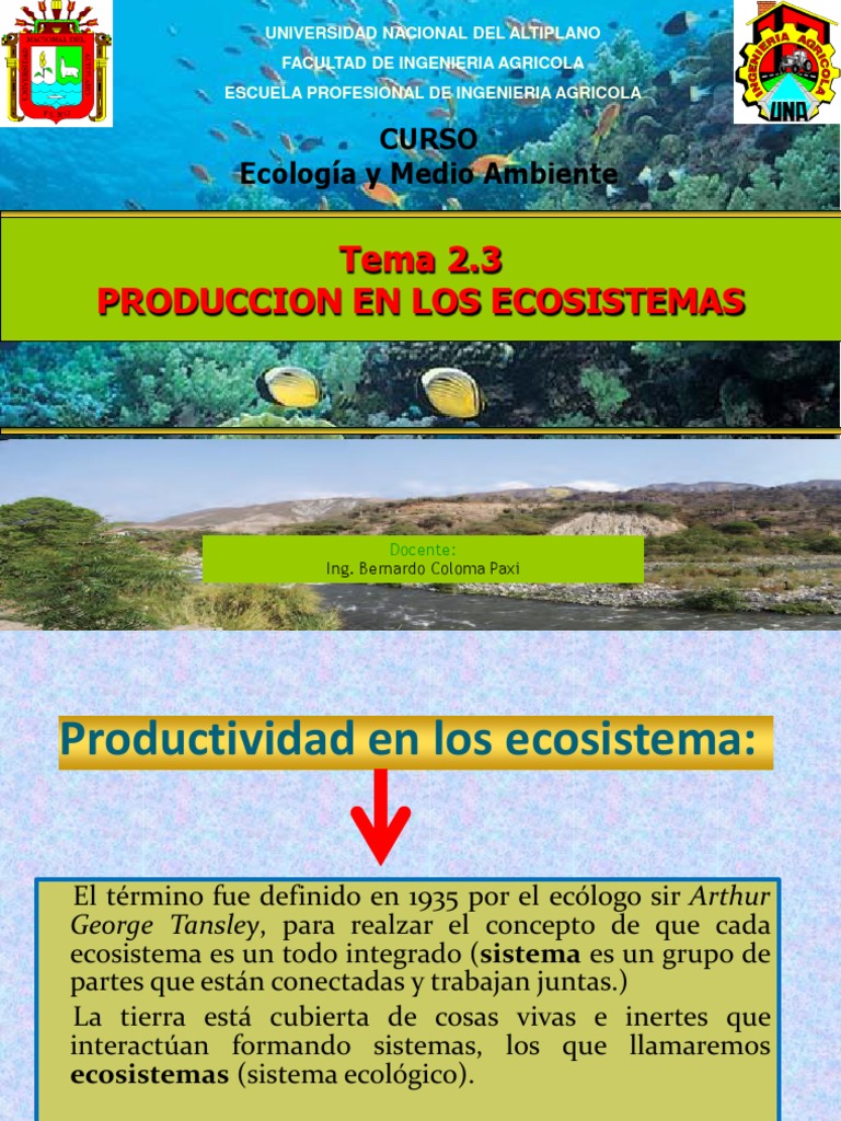 2.3 Producción en Los Ecosistemas (1) FDGF | PDF | Producción primaria | Ecología