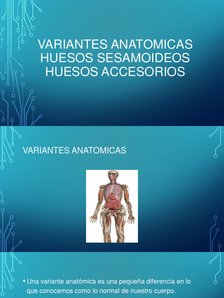 Variantes Anatomicas | PDF | Cráneo | Vértebra