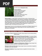 Lubby Santa | PDF | Horticulture And Gardening | Plants