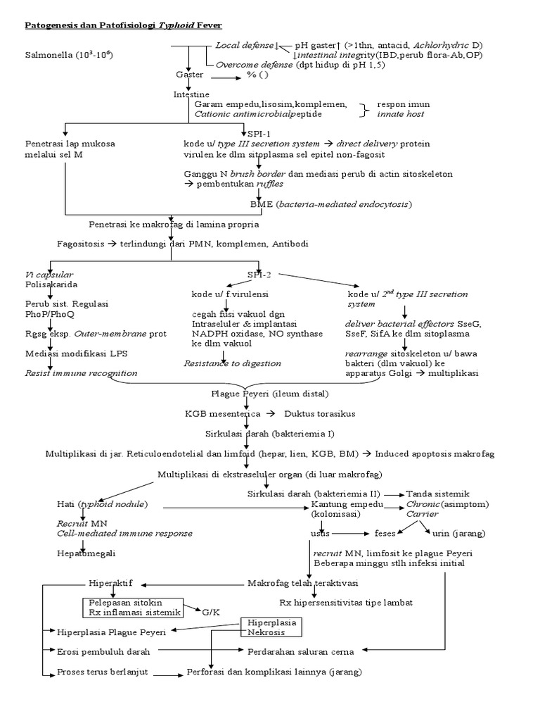 Patogenesis dan Patofisiologi Penyakit Infeksi | PDF