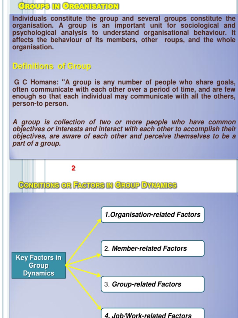 Understanding Group Dynamics in Organizations | PDF | Social Group ...
