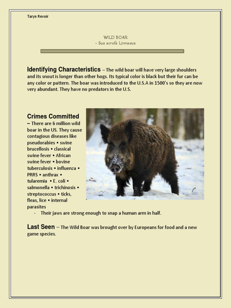 Invasive Species Wanted Poster | PDF