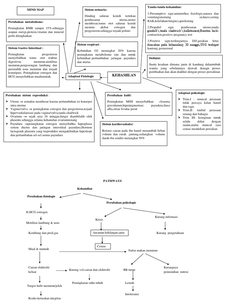Mind Map Hamil | PDF | Gaya Hidup