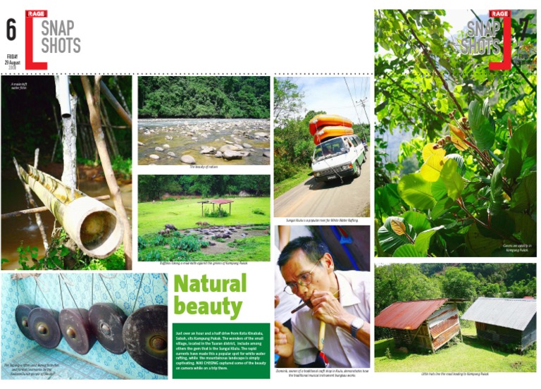 Natural Beauty | PDF