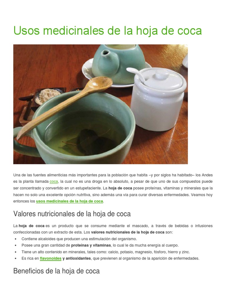 Usos Medicinales de La Hoja de Coca | PDF | Nutrición | Dieta y nutrición