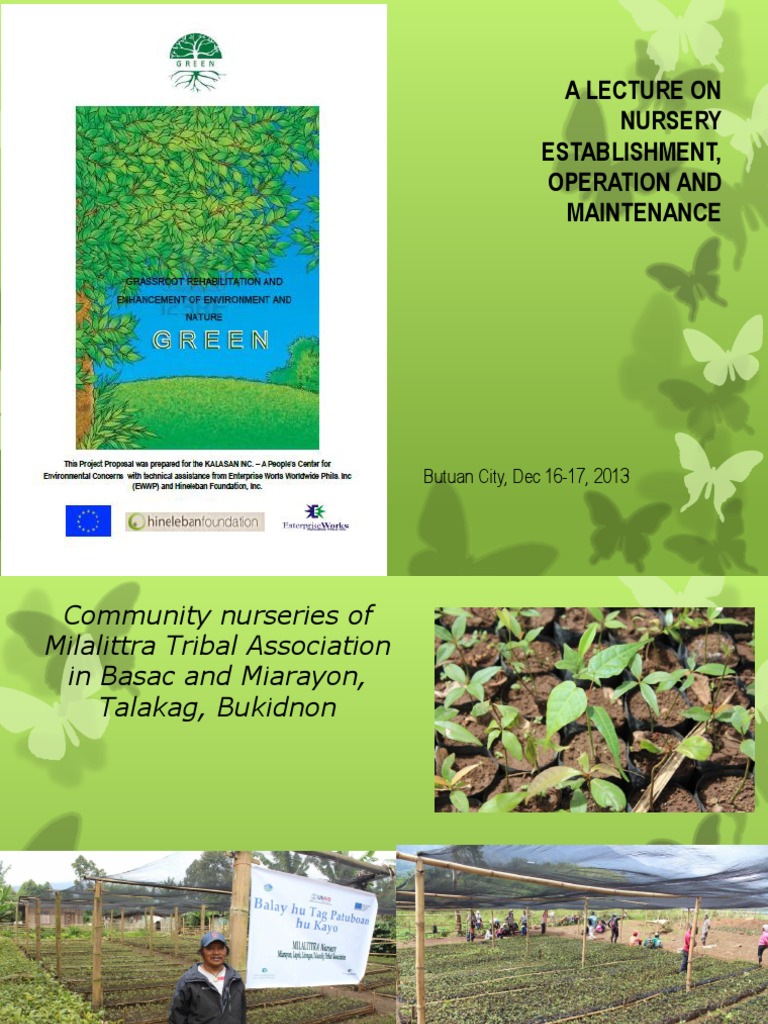 Nursery Establishment Guide | PDF | Grafting | Plant Nursery