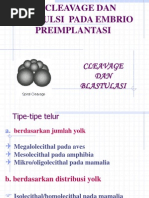 Makalah MK. Embriologi. Selaput Embrio Dan Plasenta | PDF