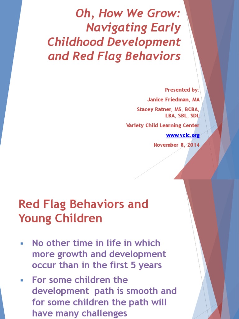 Red Flag Behavior | PDF | Child Development | Relationships