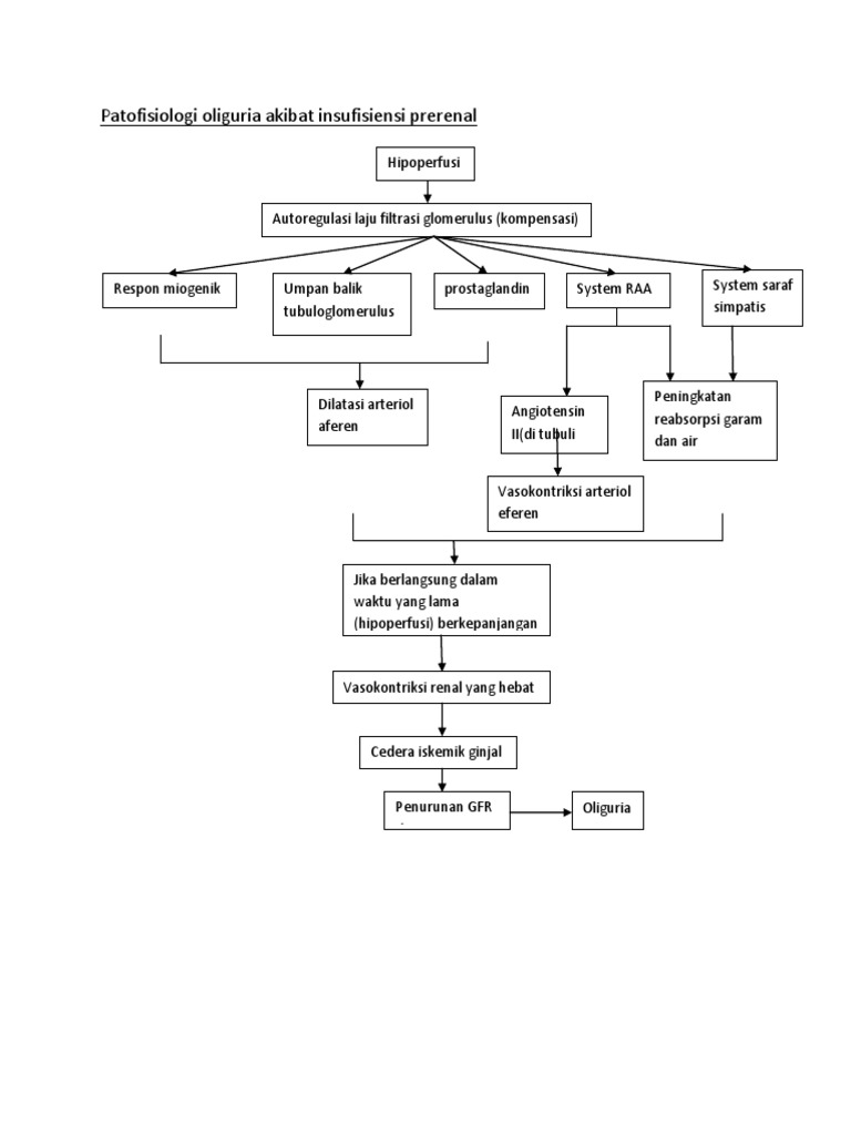 Patofisiologi Oliguria Akibat Insufisiensi Prerenal | PDF