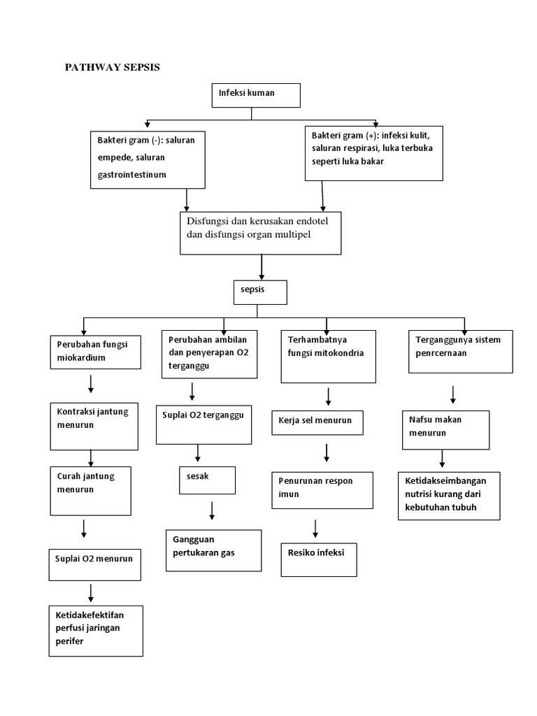 Pathway SEPSIS