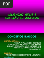 Sementes Recalcitrantes e Ortodoxas | PDF | Semente | Umidade