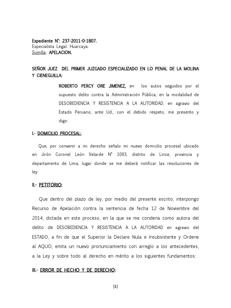 Recurso de Apelacion | PDF | Ley procesal | Derecho penal