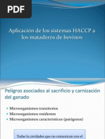 Proceso de Faena de Pollos Broiler | PDF | Aves | Marinado