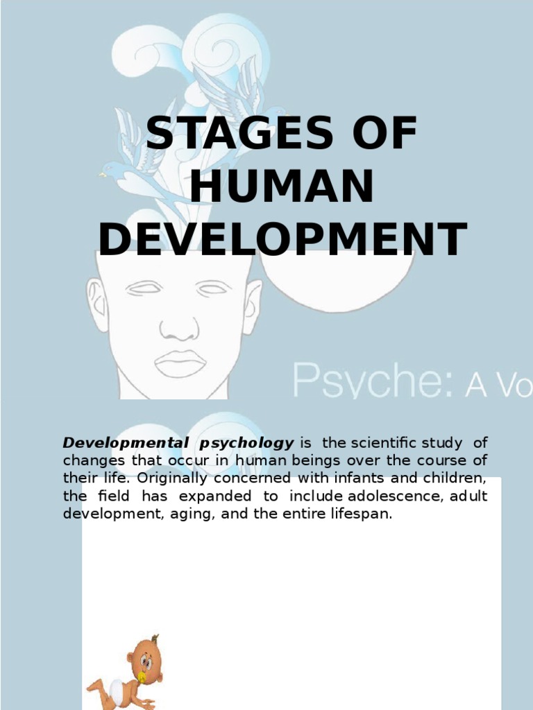 Stages of Human Development | PDF