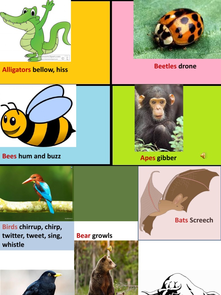 Animal Sounds for Kids | PDF | Animals And Humans | Organisms