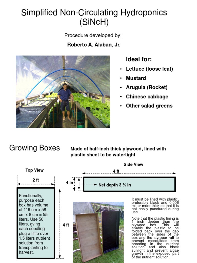 Hydroponics Notes | PDF | Hydroponics | Lettuce