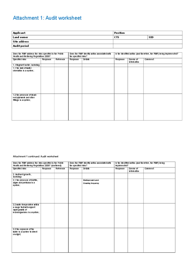 Audit Worksheet | PDF | Risk | Audit