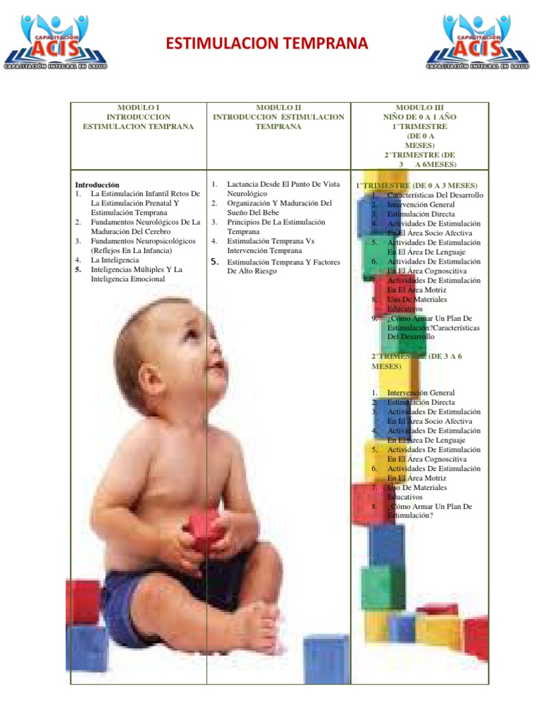 Estimulacion Temprana | PDF | Neurociencia | Cognición