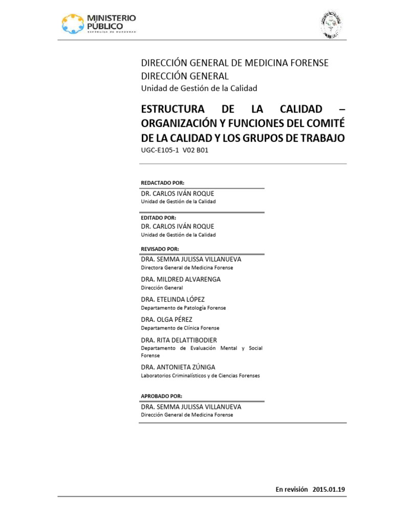 Estructura y Funciones del Comité de Calidad | PDF | Gestión de la ...