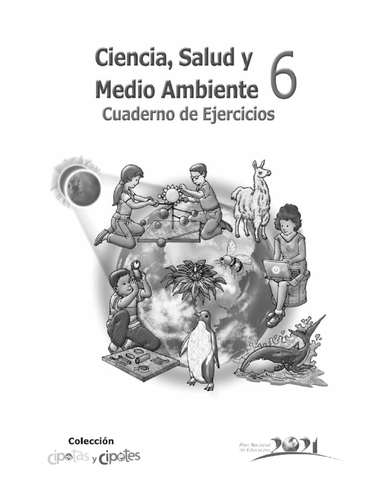 Cuaderno de Ejercicios de Ciencias 6° | PDF | Plantas | Naturaleza