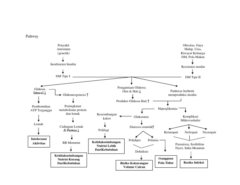 Pathway DM Fix | PDF
