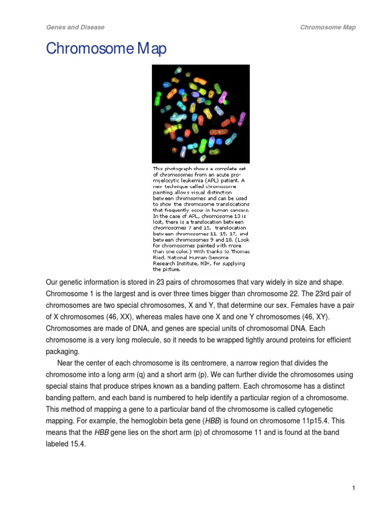 Genes and Disease Chromosome Map | PDF