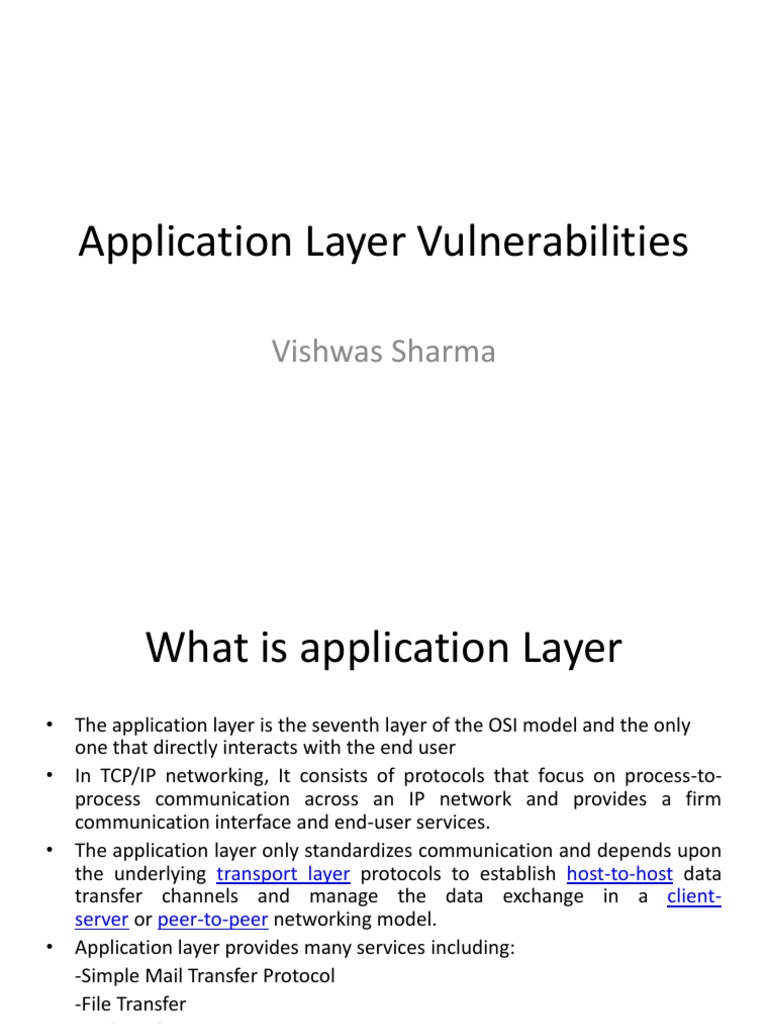 Application Layer Vulnerabilities | PDF | Vulnerability (Computing) | Computer Security