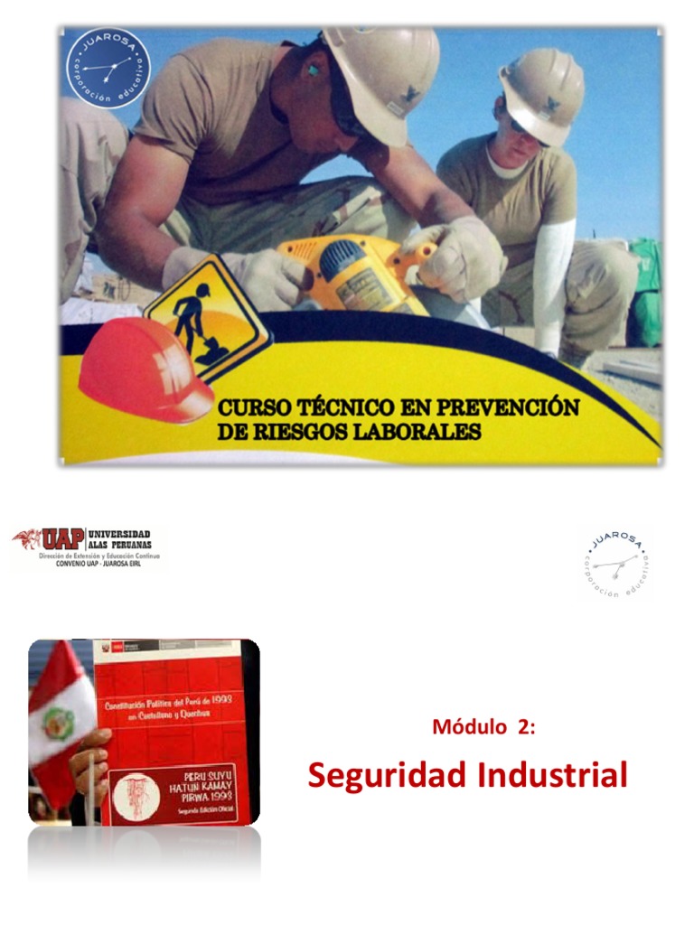 Modulo Seguridad Industrial | PDF