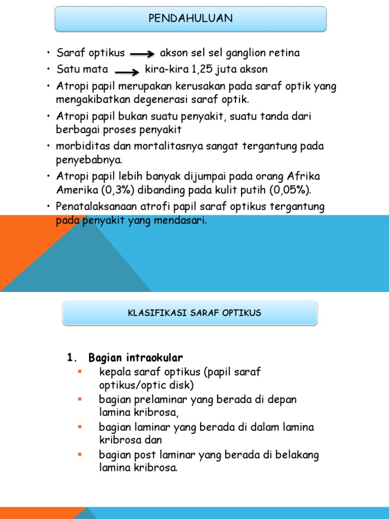 Atrofi Papil | PDF