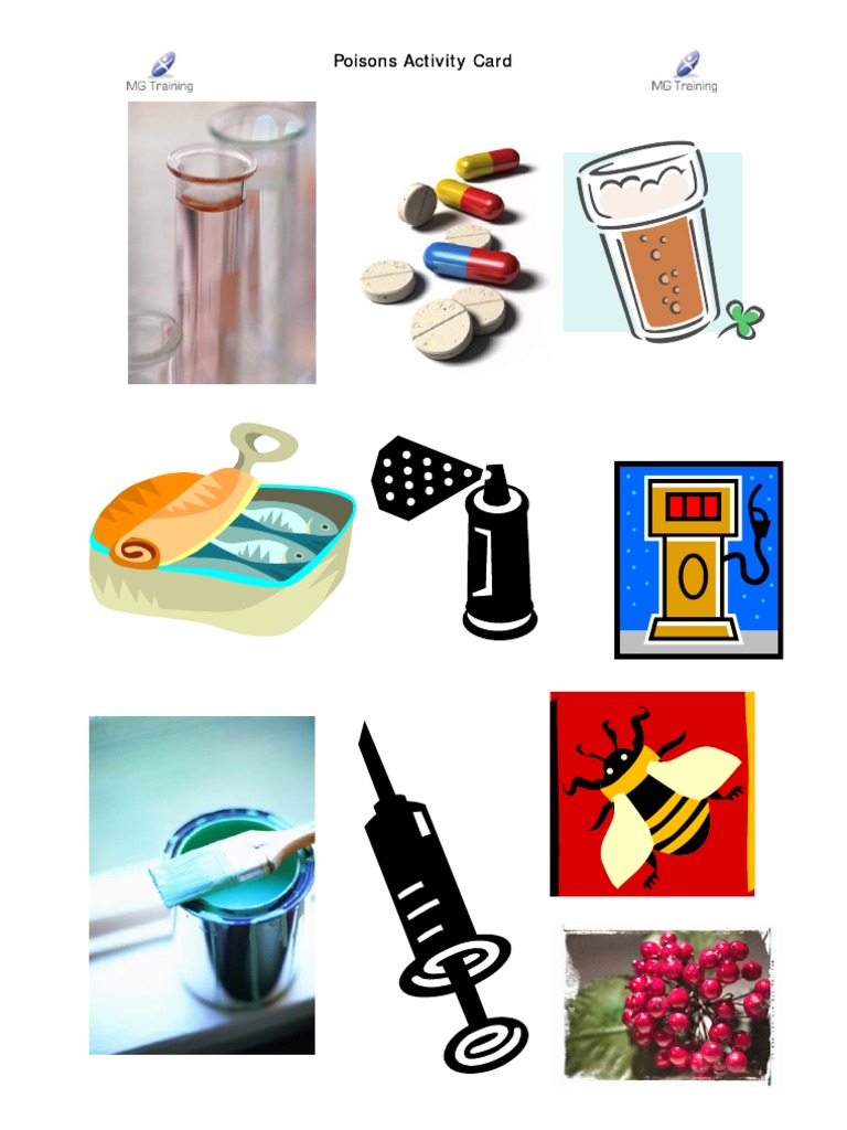 HO27 Poison Activity Sheet | PDF