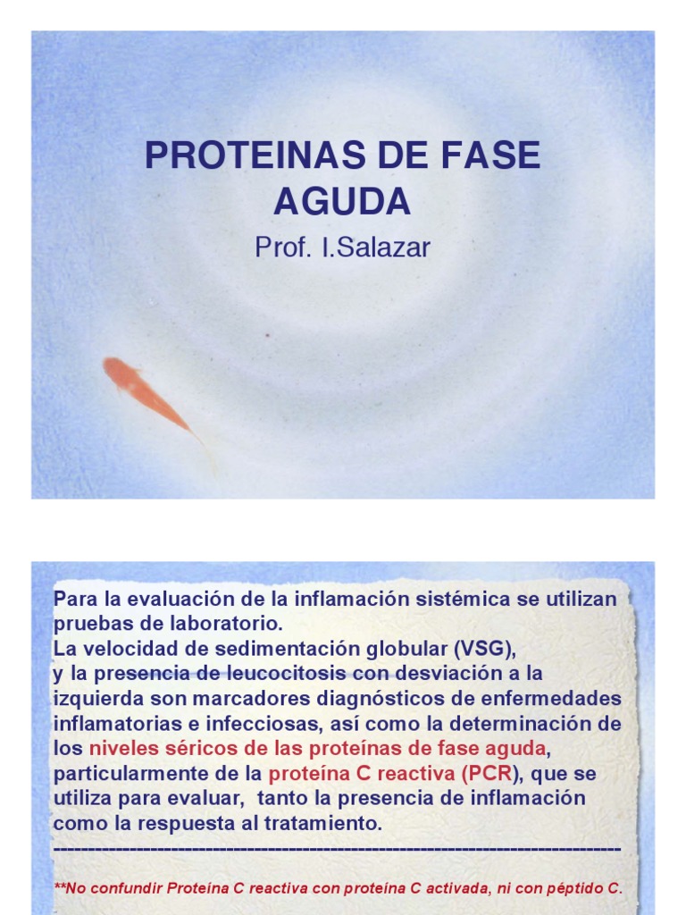 Proteínas de Fase Aguda | PDF | Proteína C-reactiva | Inflamación