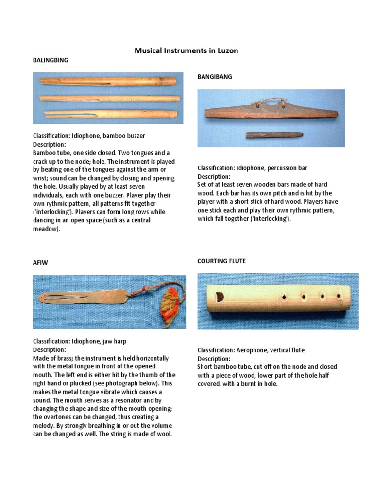 Musical Instrument | PDF | Musical Instruments | Violin
