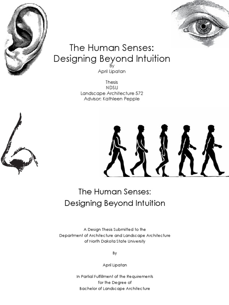 Designing For The Human Senses | Download Free PDF | Senses | Design