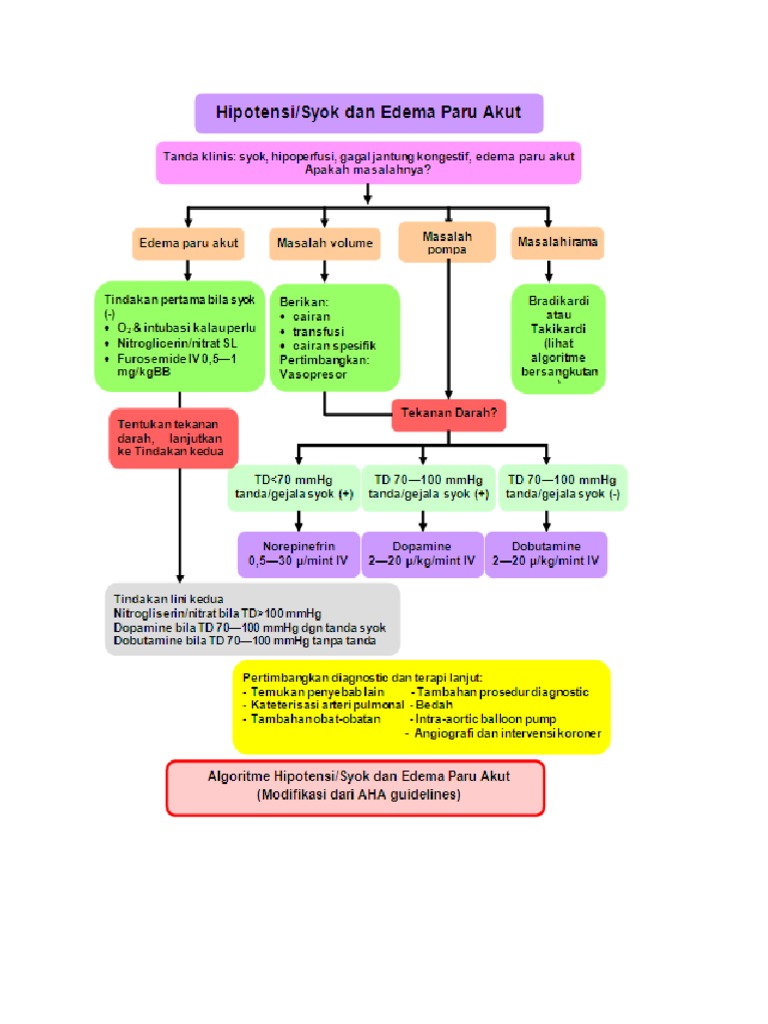 Algoritma Acls | PDF